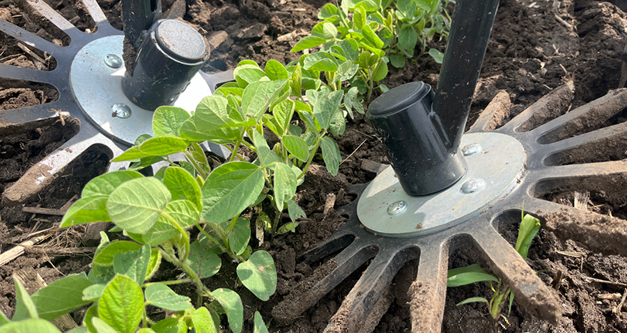 Precision Row Crop Cultivator - Salford Group Inc.